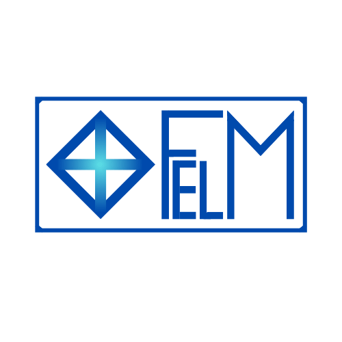 FELM